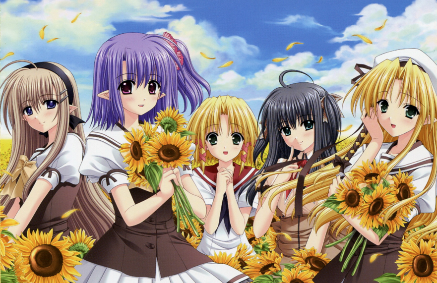 Top 10 Sexy Ecchi Harem Anime List [best Recommendations ]