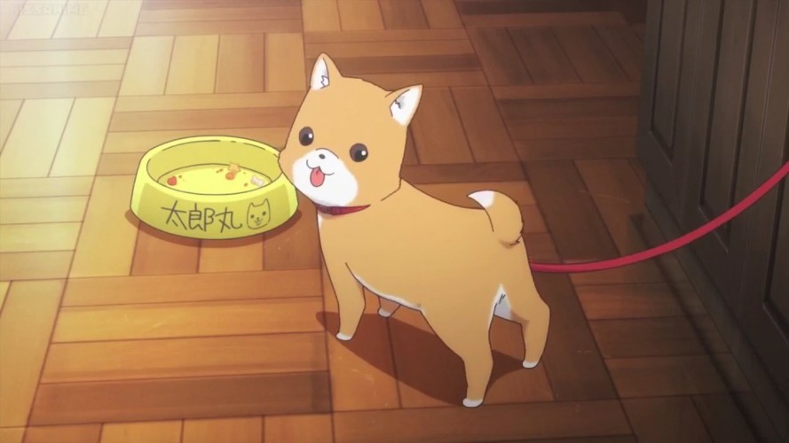 Really What a Dog Sounds Like? Animal Sound Effects in Anime