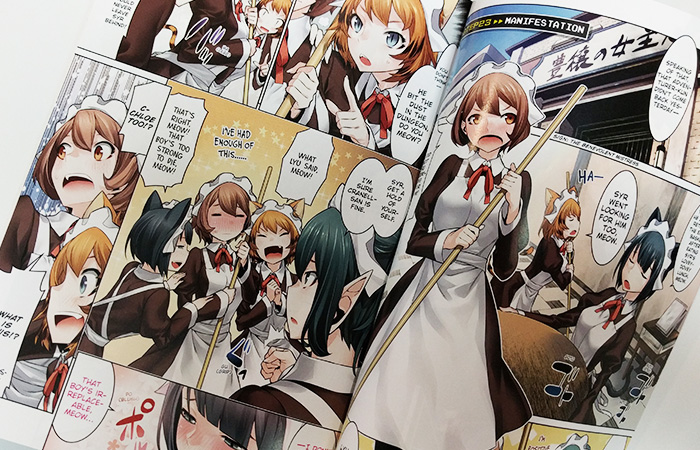 Interview with Andrew Gaippe, Official Manga & LN Translator for Danmachi
