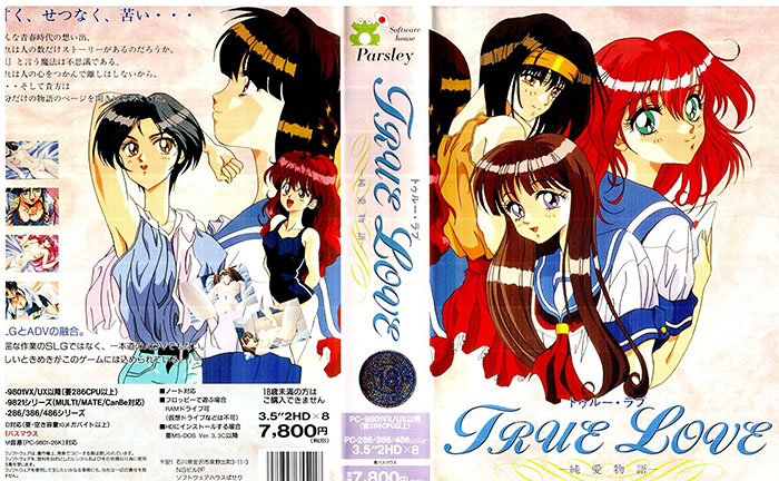 What is a Dating Sim? [Gaming Definition, Meaning]