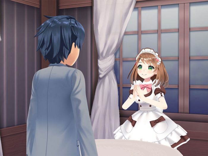 Now You Can Have Cute Maids in the Comfort of Your Own Home!