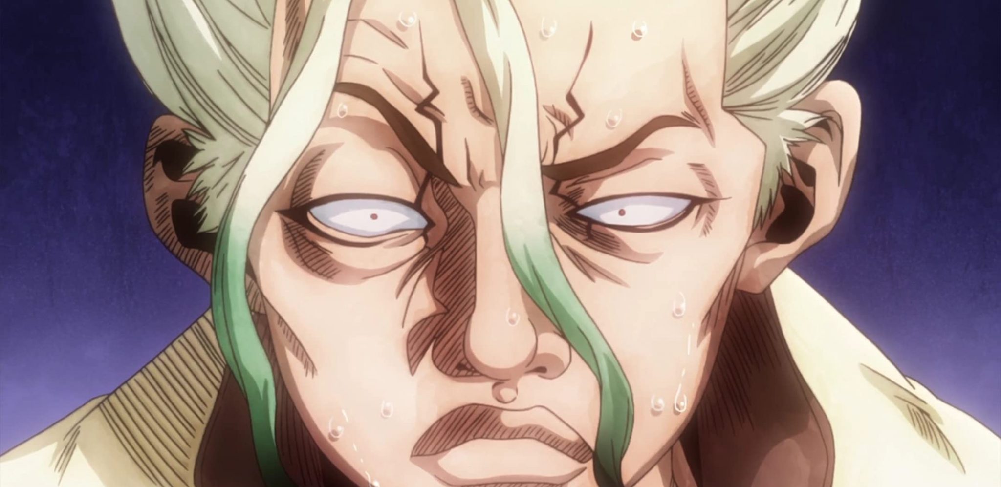 Dr. Stone New World: Burning Questions We Want to be Answered!